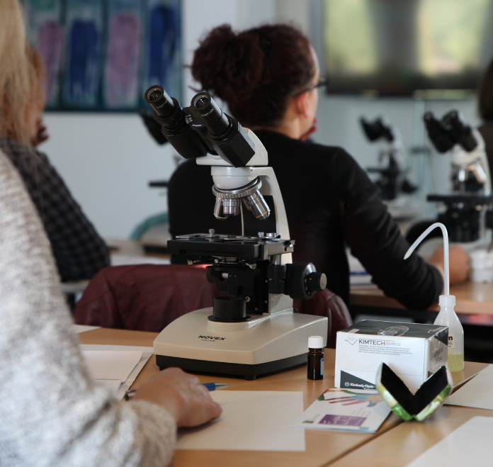 Neo Animalia - A propos